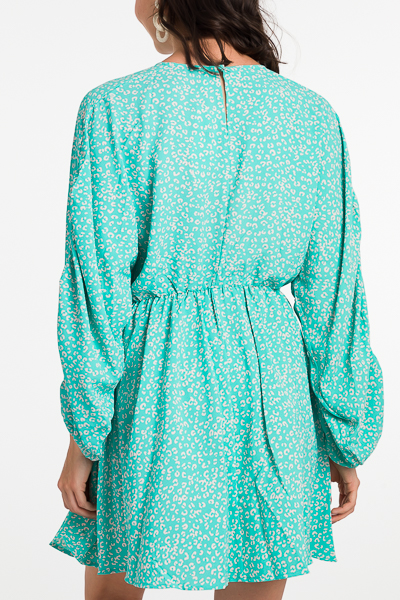 Mint Leopard Dress - Dresses w/ Sleeves - Dresses - The Blue Door Boutique